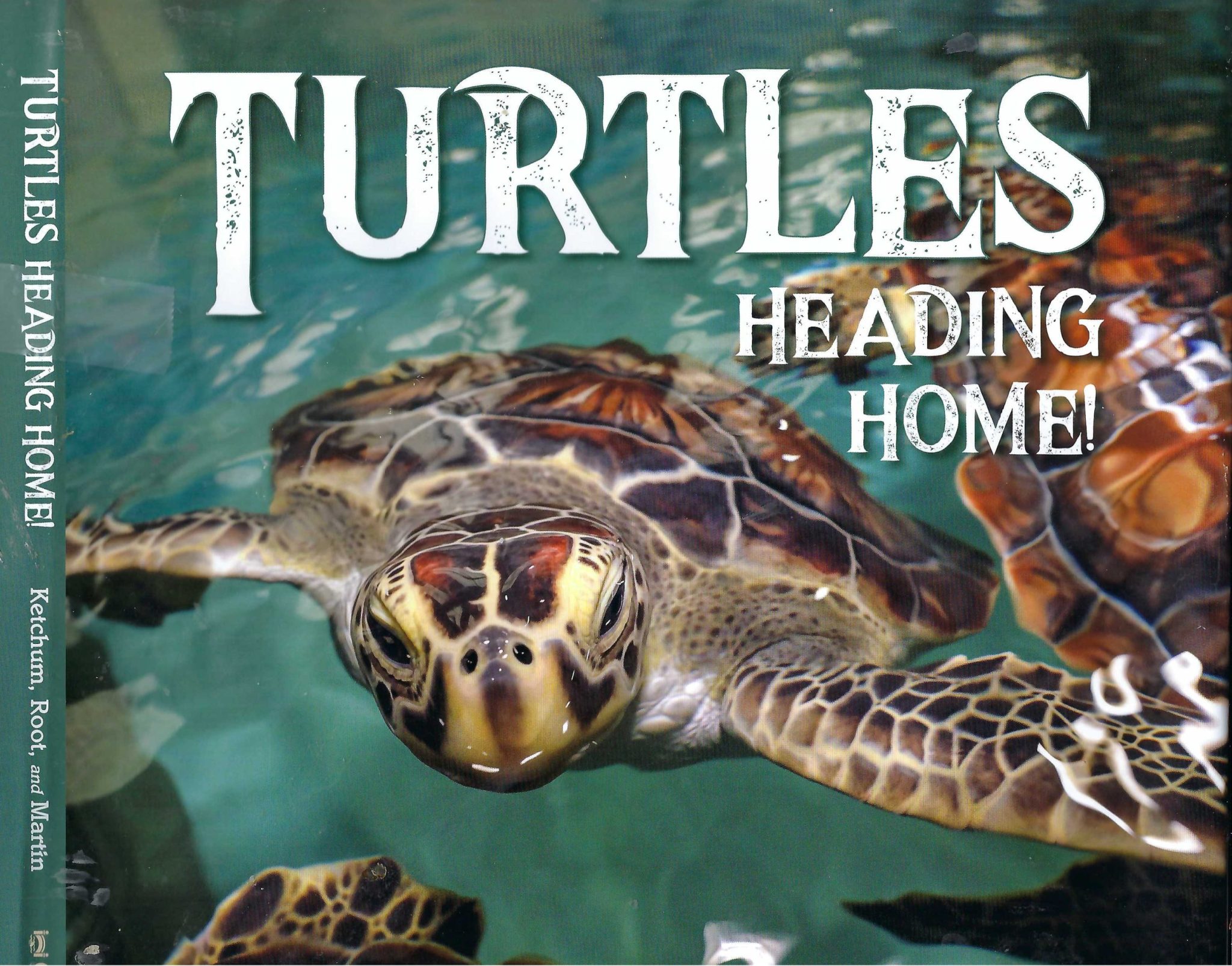 About those turtles - Jacqueline Briggs Martin